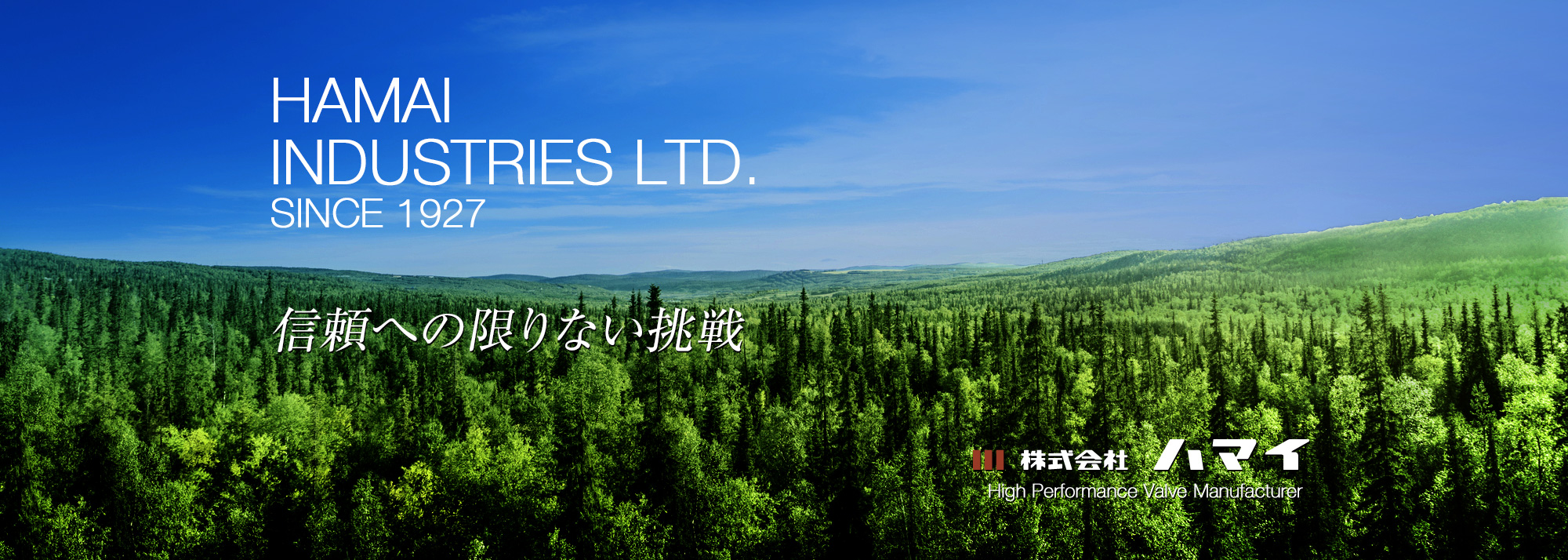 株式会社ハマイ 企業情報